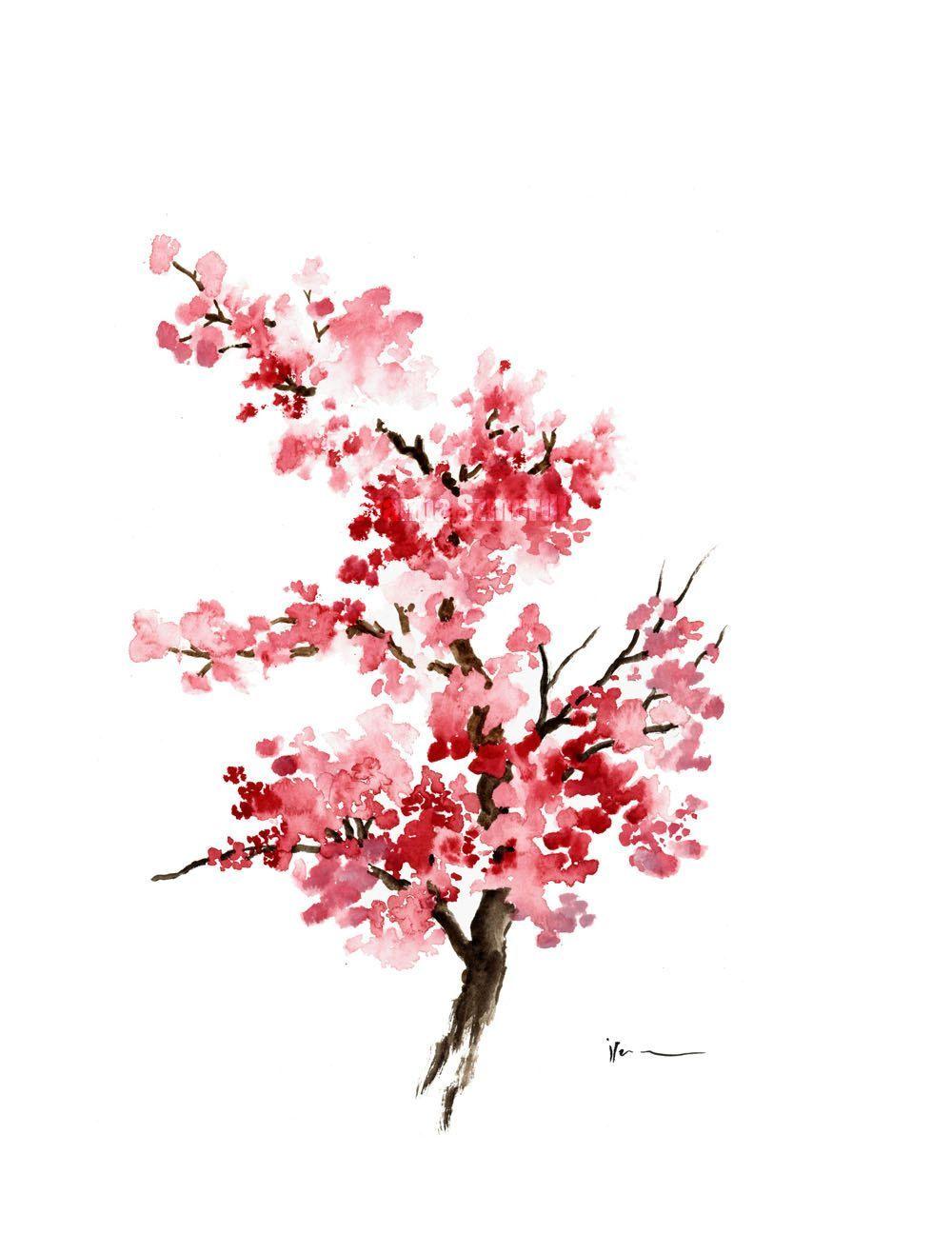 Watercolor Cherry Blossom Wallpapers - Top Free Watercolor Cherry ...
