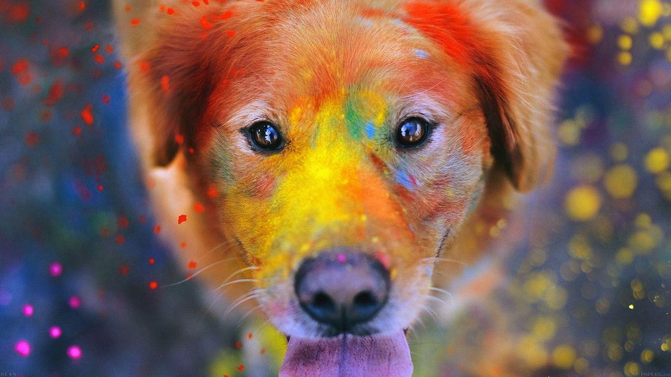 Dog Laptop Wallpapers - Top Free Dog Laptop Backgrounds - WallpaperAccess
