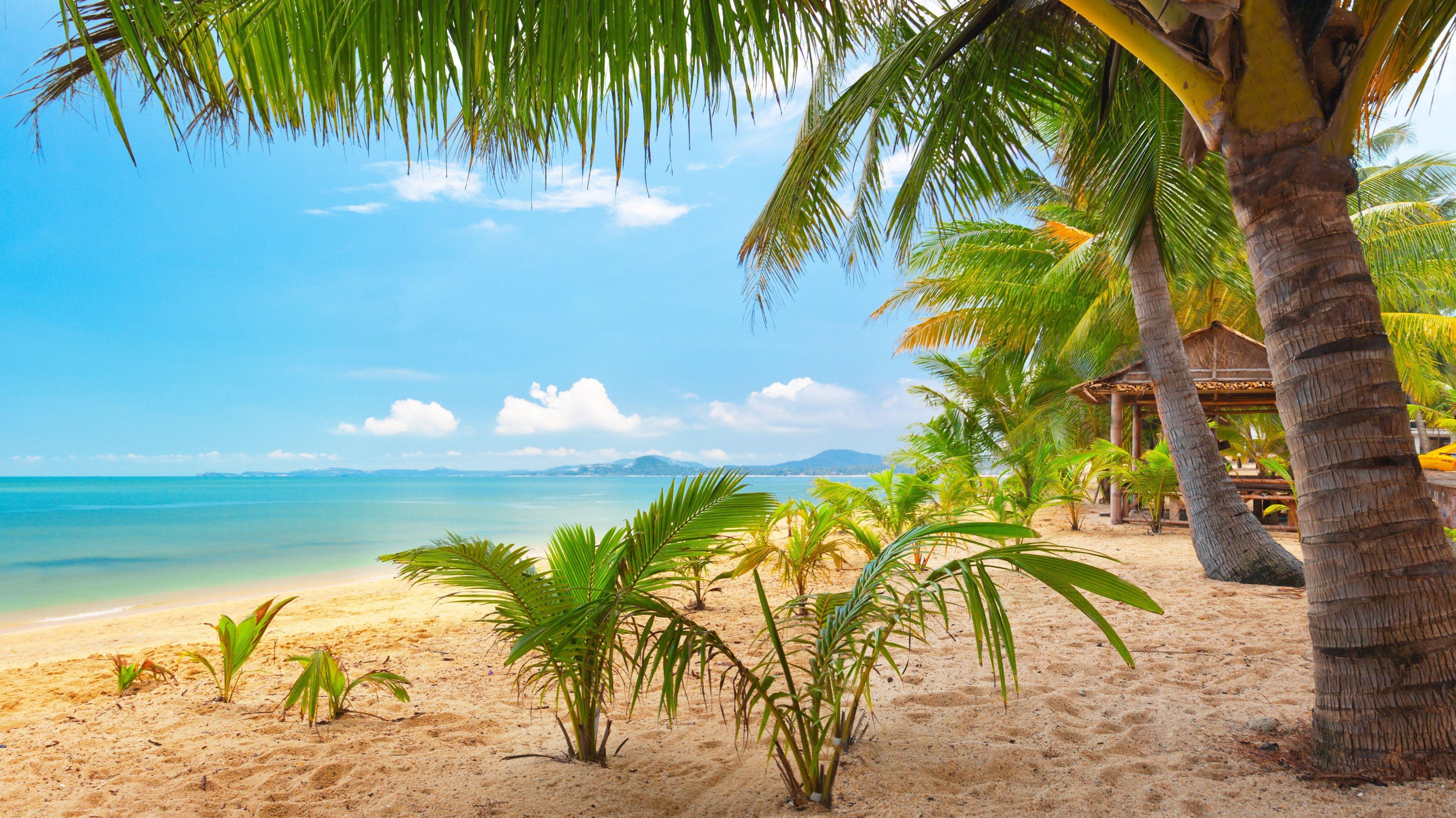 8K Ultra High Res Wallpapers - Top Free 8K Ultra High Res Backgrounds ...