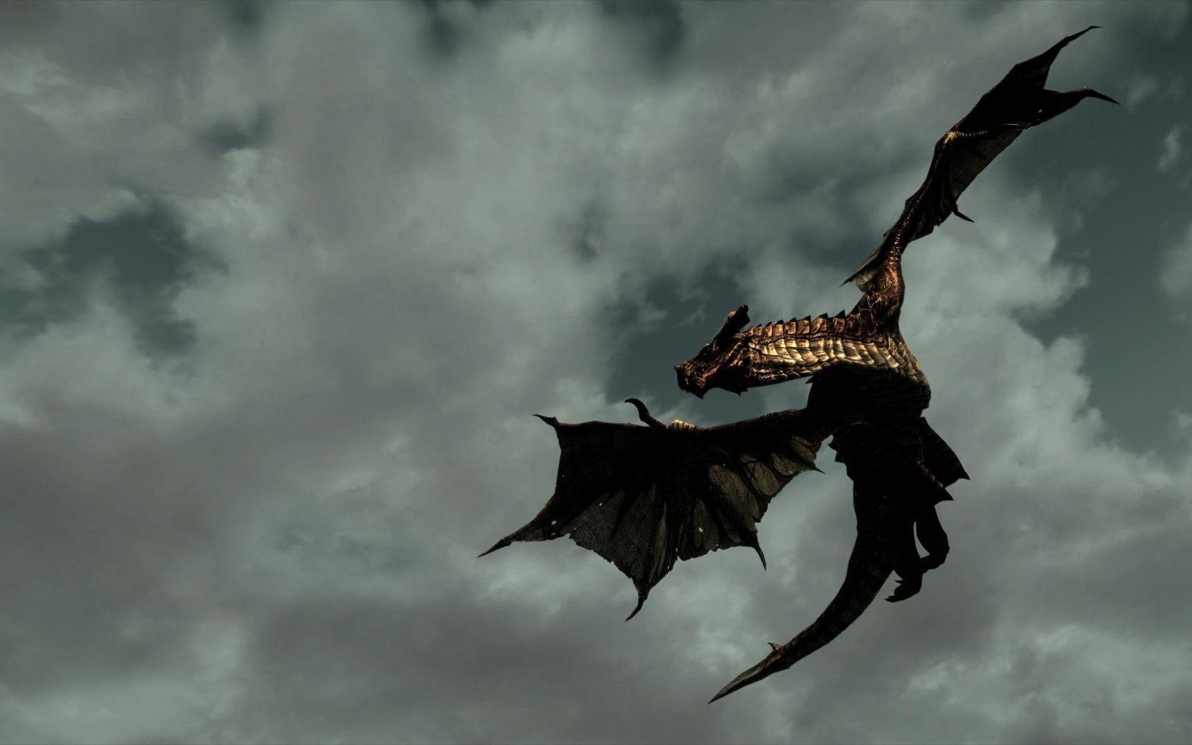 Realistic Dragon Wallpapers - Top Free Realistic Dragon Backgrounds ...