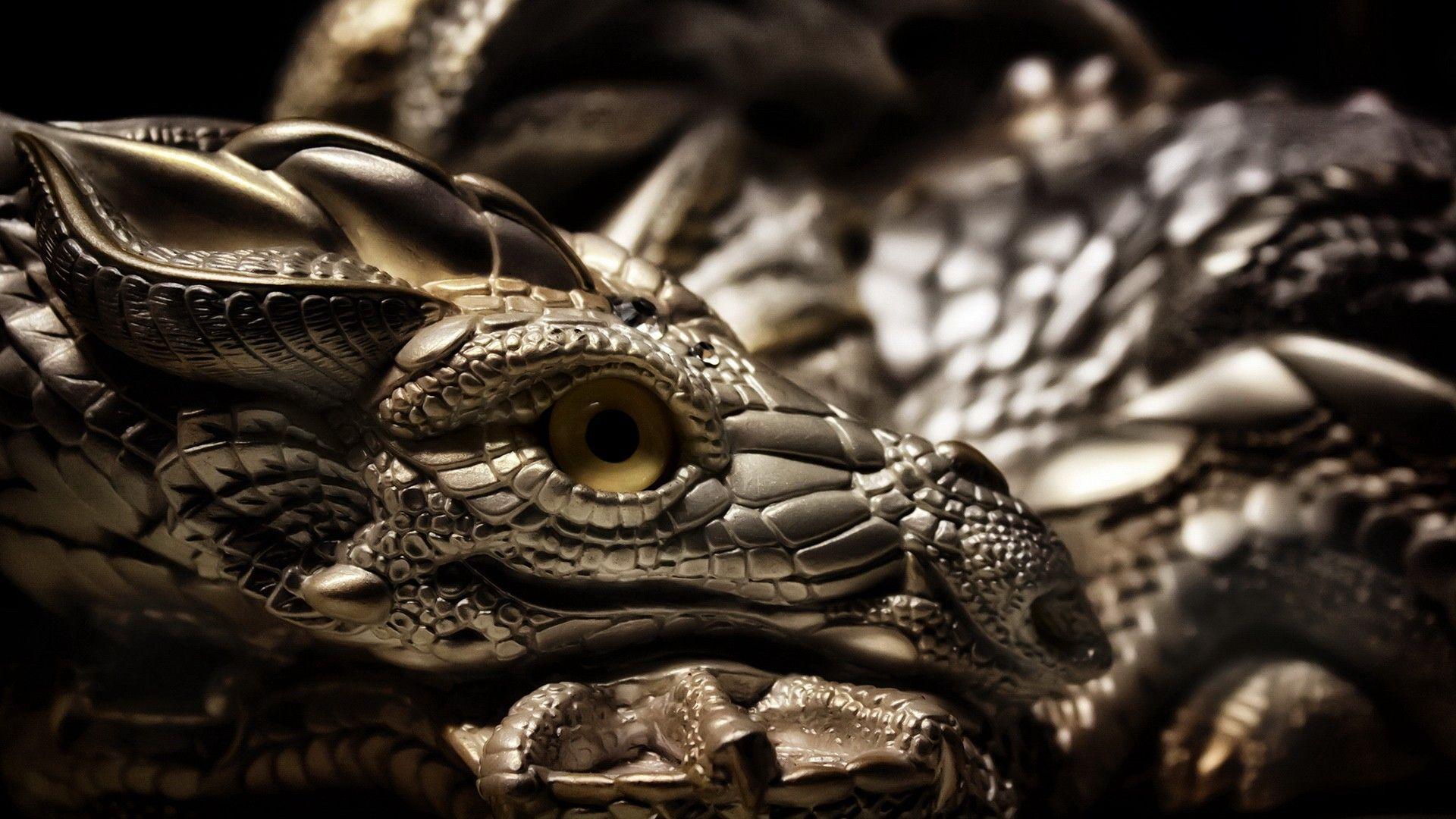 Realistic Dragon Wallpapers - Top Free Realistic Dragon Backgrounds ...