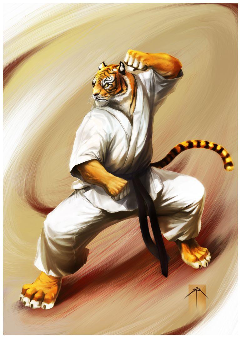 Shito Ryu Wallpapers - Top Free Shito Ryu Backgrounds - WallpaperAccess