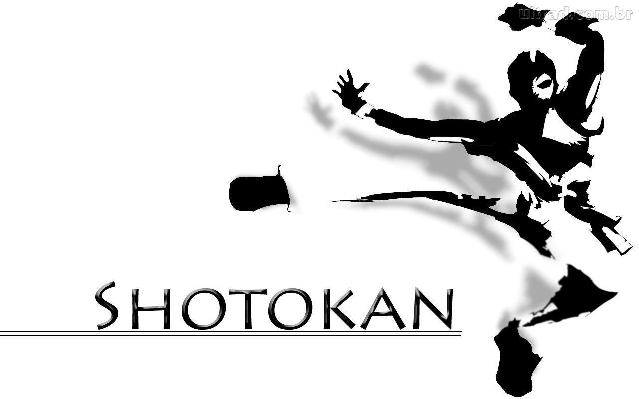 Shito Ryu Wallpapers - Top Free Shito Ryu Backgrounds - WallpaperAccess