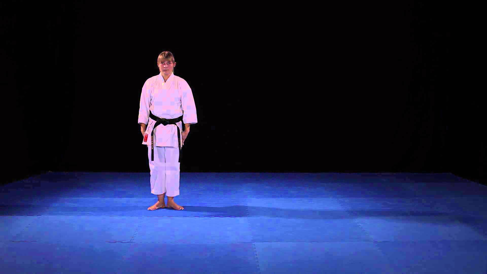 Shito Ryu Wallpapers - Top Free Shito Ryu Backgrounds - WallpaperAccess