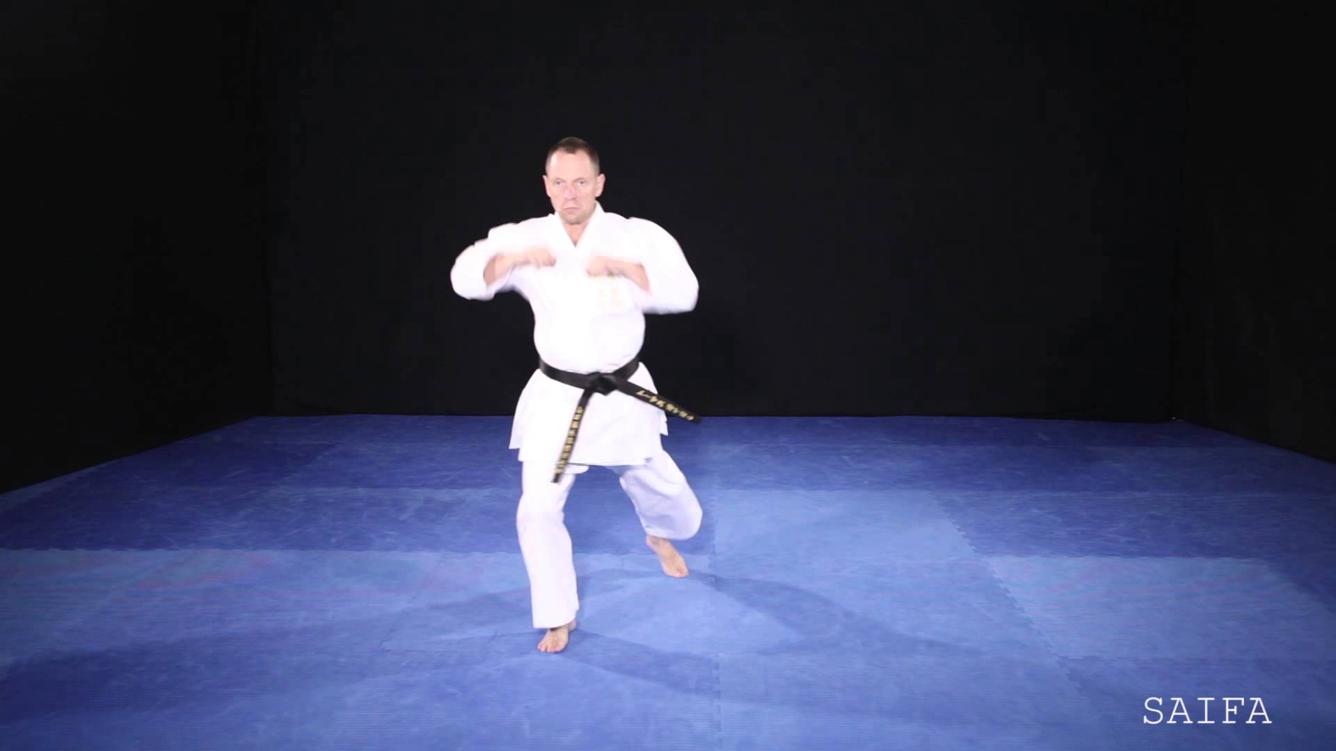 Shito Ryu Wallpapers - Top Free Shito Ryu Backgrounds - WallpaperAccess