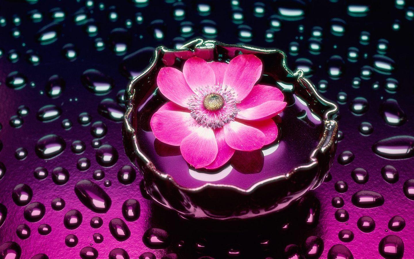 Pink Water Wallpapers - Top Free Pink Water Backgrounds - WallpaperAccess