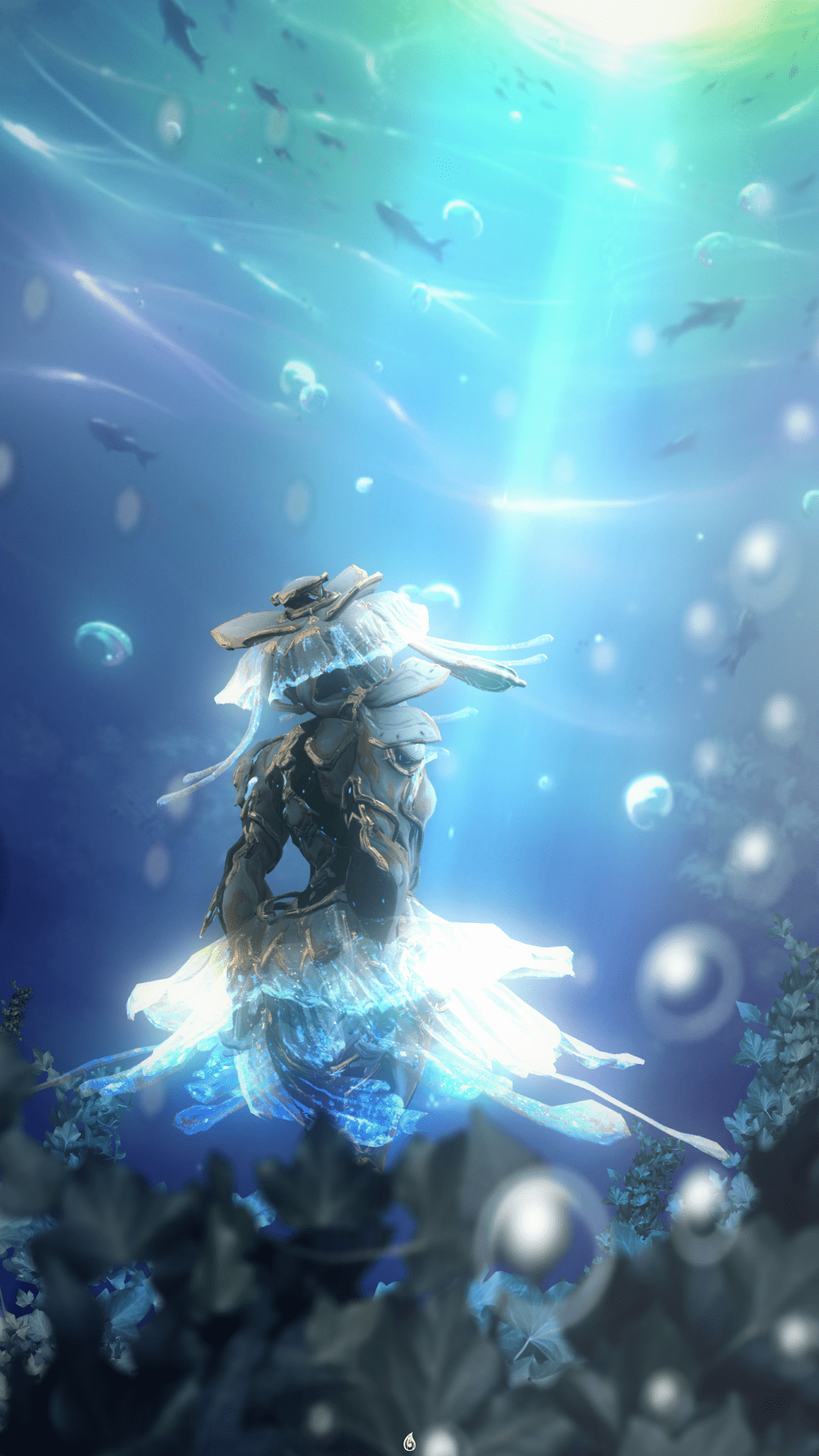 Underwater Phone Wallpapers - Top Free Underwater Phone Backgrounds ...