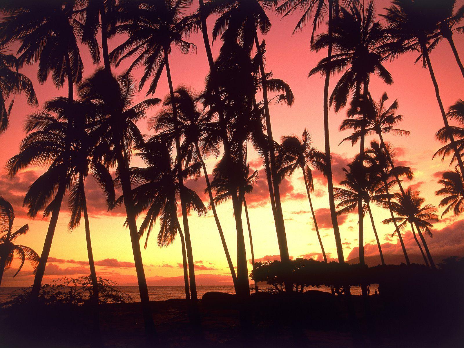 Hawaii Sunset Wallpapers - Top Free Hawaii Sunset Backgrounds ...