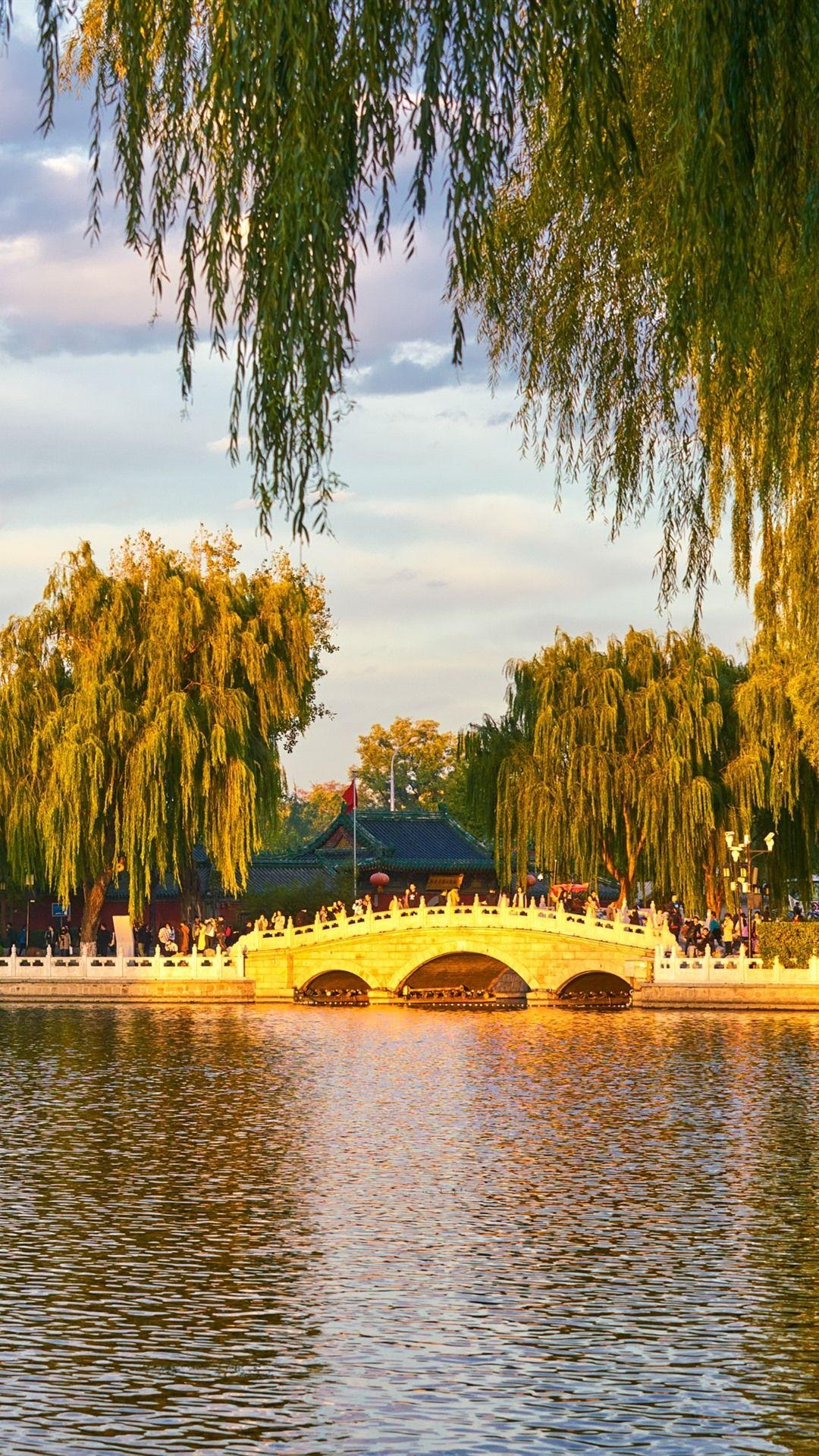 Willow Tree Wallpapers - Top Free Willow Tree Backgrounds - WallpaperAccess