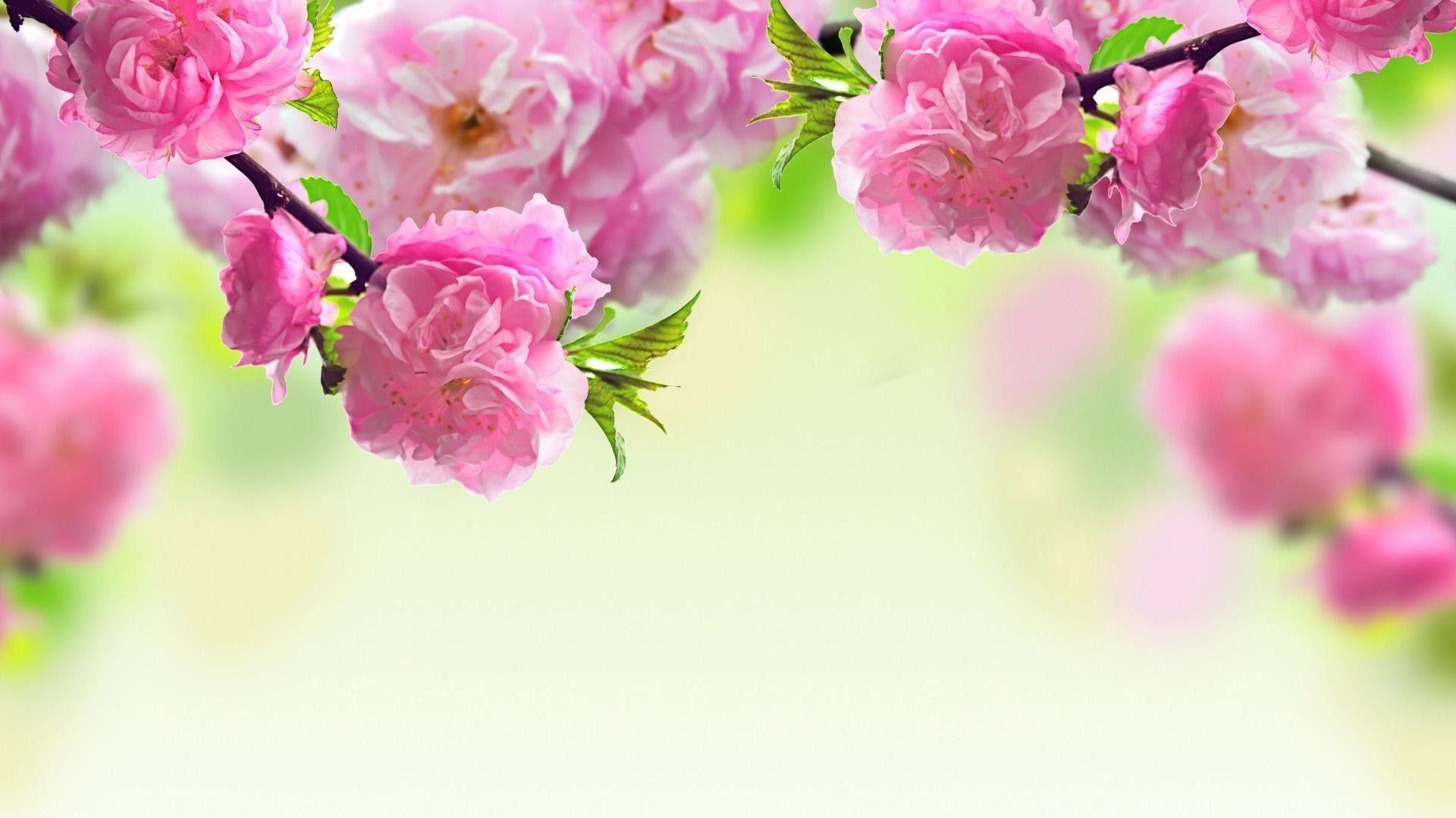 Spring Nature Scenes Wallpapers - Top Free Spring Nature Scenes ...