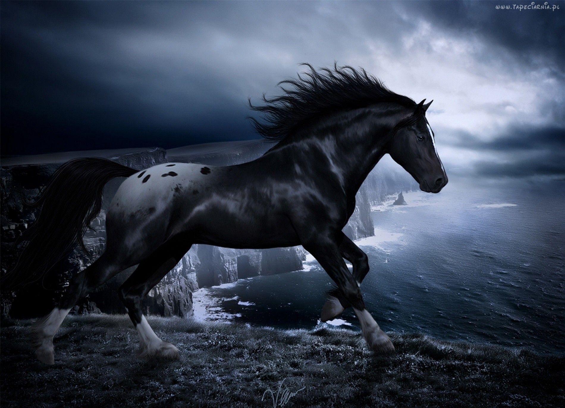 Dark Horse Wallpapers - Top Free Dark Horse Backgrounds - WallpaperAccess