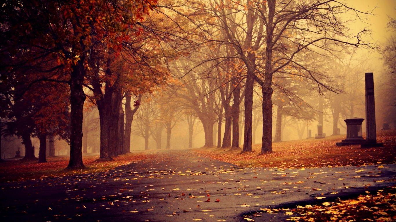 1366 X 768 Fall Wallpapers - Top Free 1366 X 768 Fall Backgrounds ...
