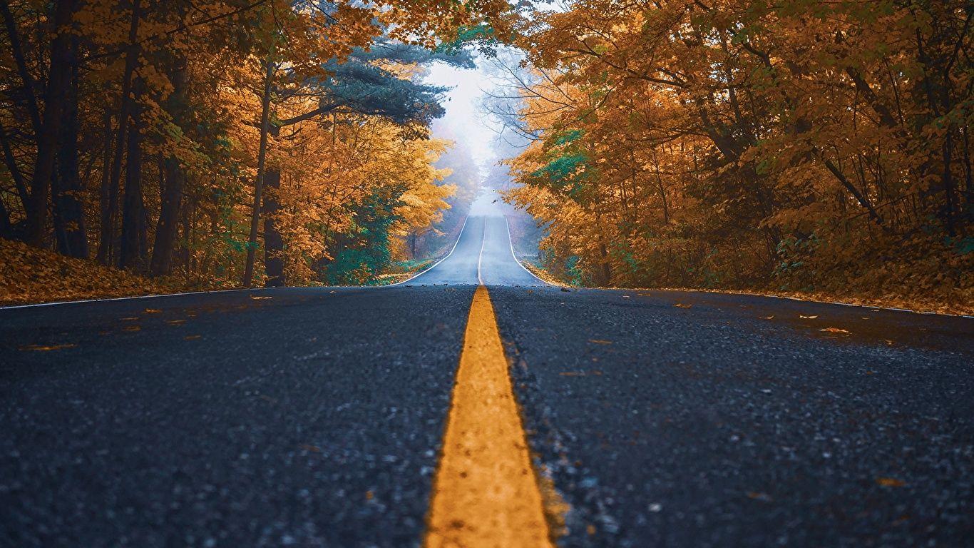 1366 X 768 Fall Wallpapers - Top Free 1366 X 768 Fall Backgrounds ...