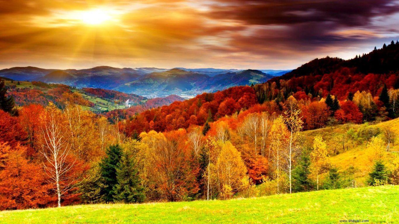 1366 X 768 Fall Wallpapers - Top Free 1366 X 768 Fall Backgrounds ...