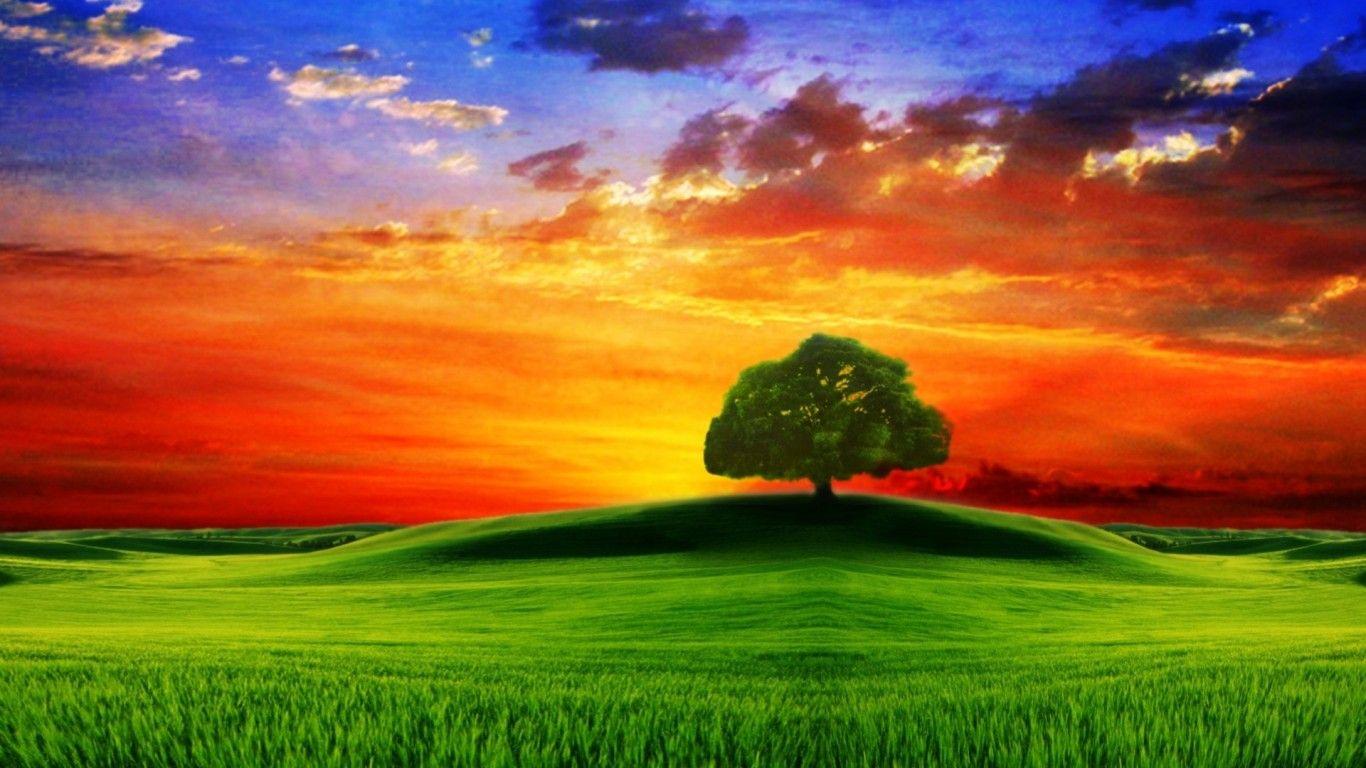 1366 X 768 HD Sunset Wallpapers - Top Free 1366 X 768 HD Sunset ...