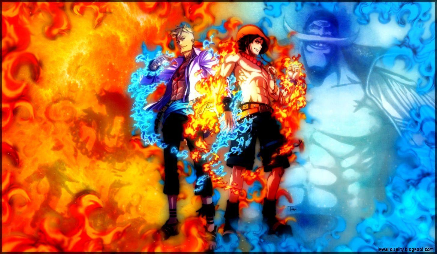 One Piece Marco Wallpapers - Top Free One Piece Marco Backgrounds ...