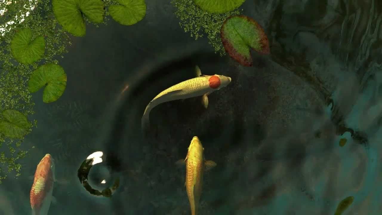 3D Koi Wallpapers - Top Free 3D Koi Backgrounds - WallpaperAccess