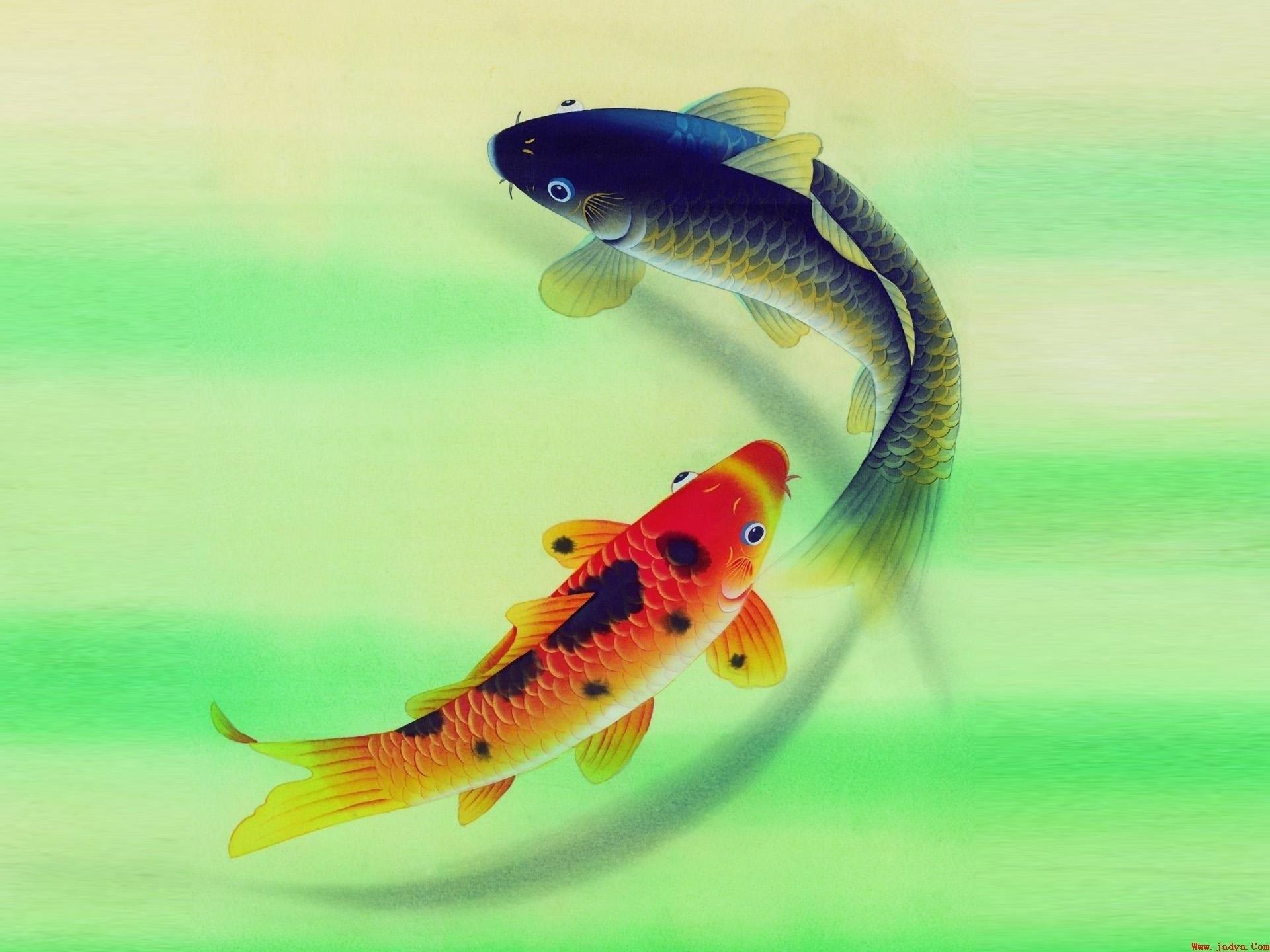 3D Koi Wallpapers - Top Free 3D Koi Backgrounds - WallpaperAccess