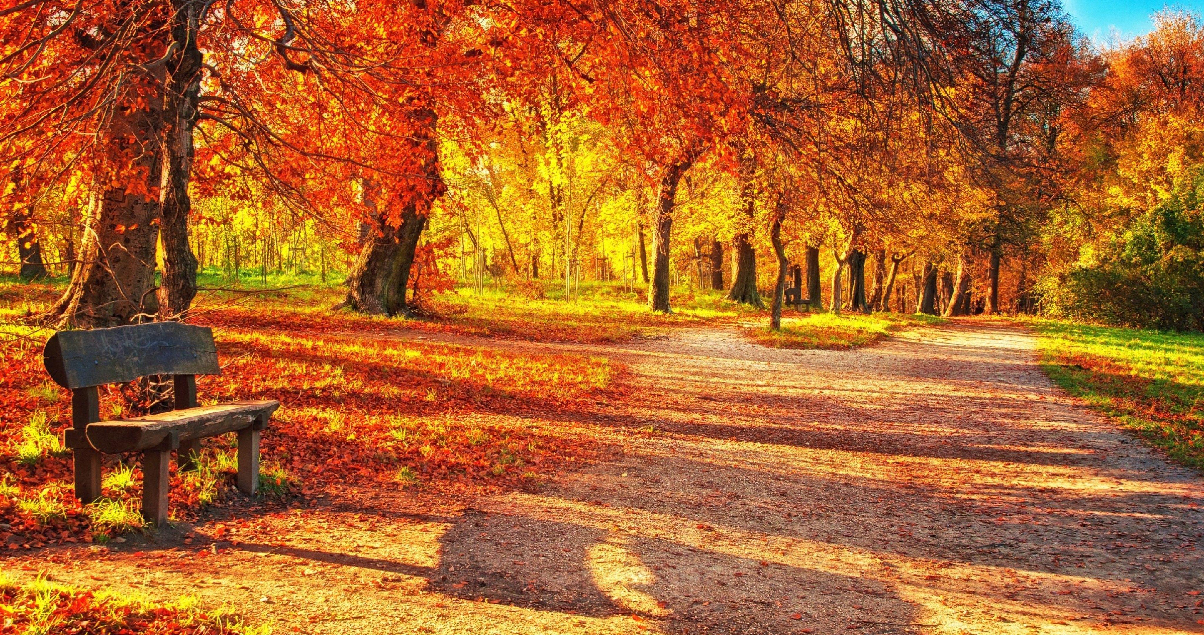 4K Autumn Wallpapers - Top Free 4K Autumn Backgrounds - WallpaperAccess