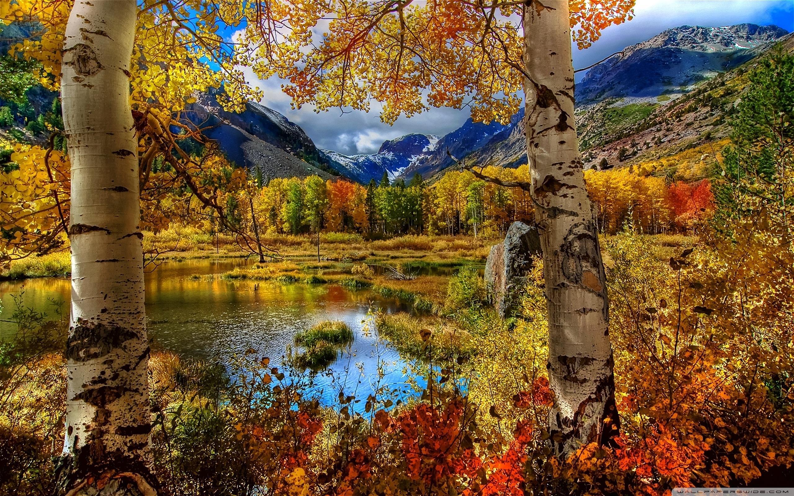 4K Autumn Wallpapers - Top Free 4K Autumn Backgrounds - WallpaperAccess
