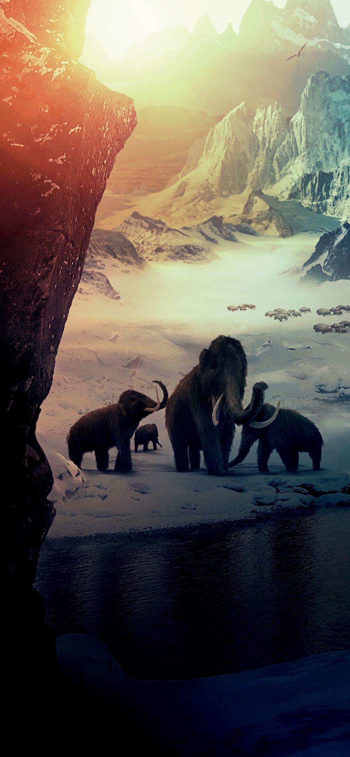 Elephant iPhone Wallpapers - Top Free Elephant iPhone Backgrounds ...