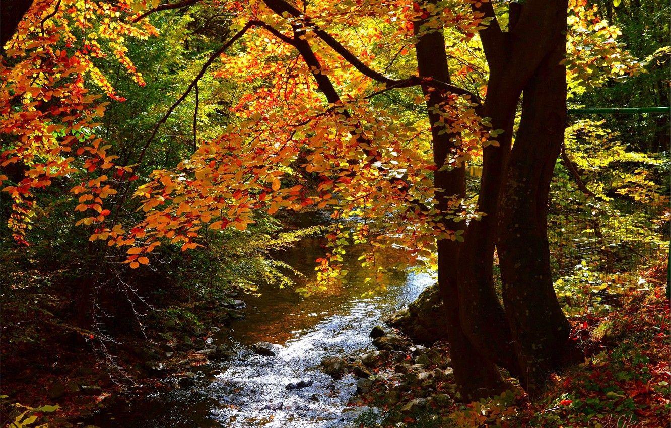 Autumn River Wallpapers - Top Free Autumn River Backgrounds ...