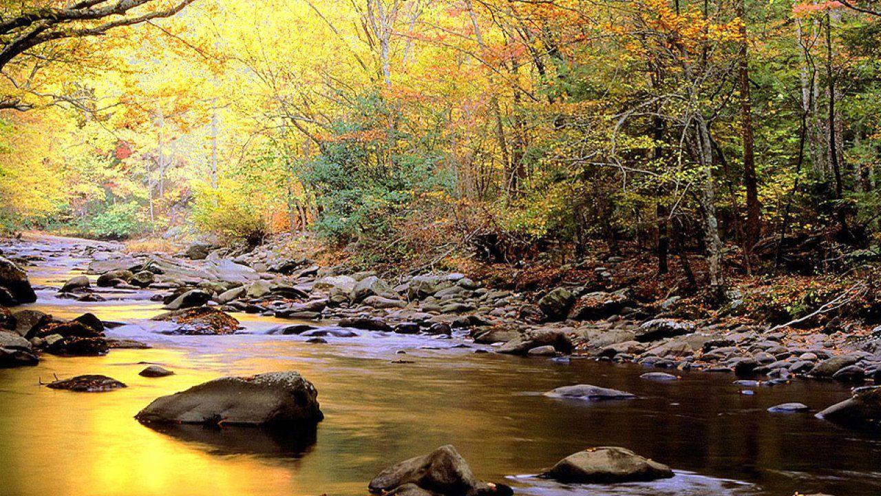 Beautiful River Wallpapers - Top Free Beautiful River Backgrounds ...