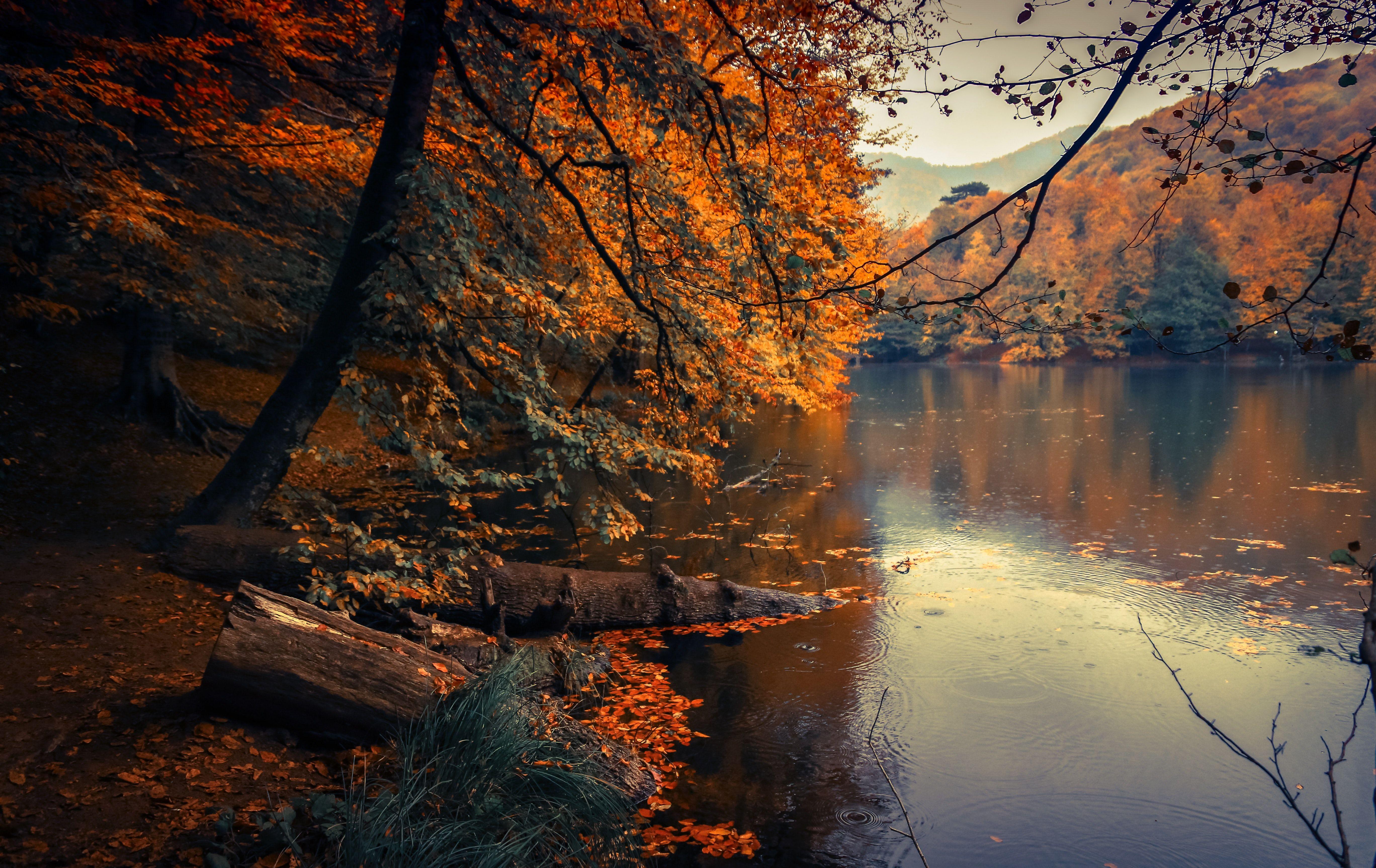 Autumn River Wallpapers - Top Free Autumn River Backgrounds ...