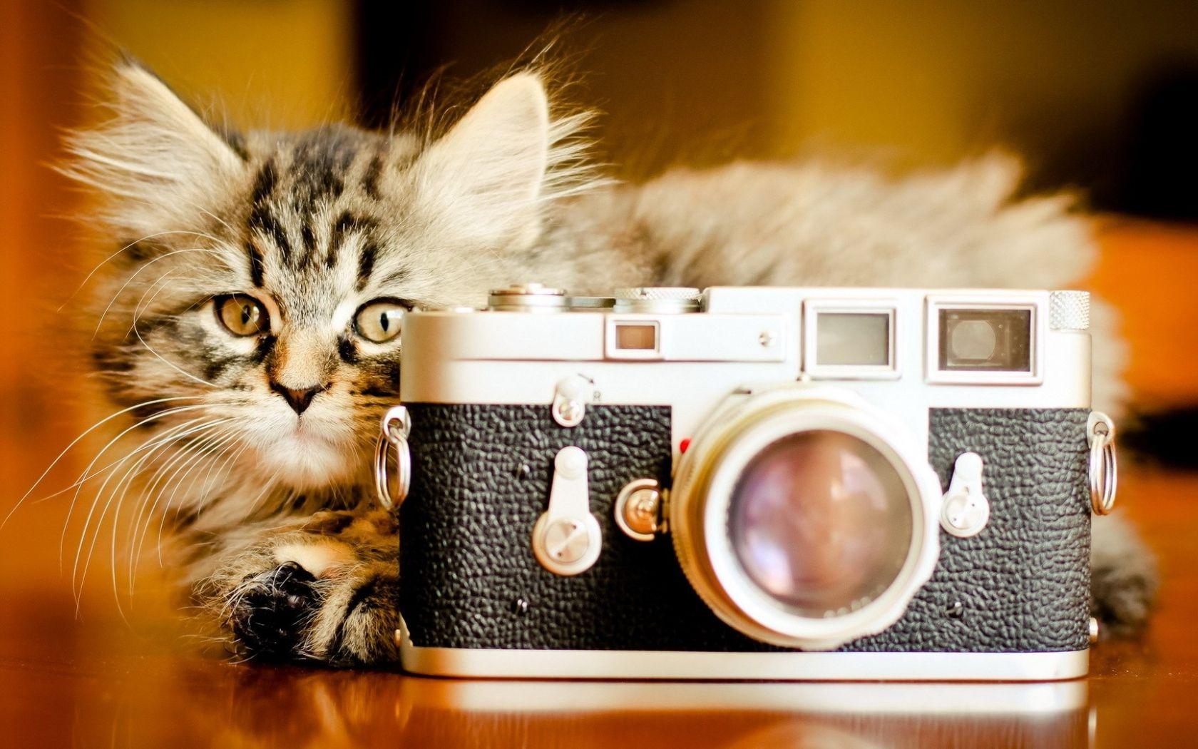 Cute Camera Wallpapers - Top Free Cute Camera Backgrounds - WallpaperAccess
