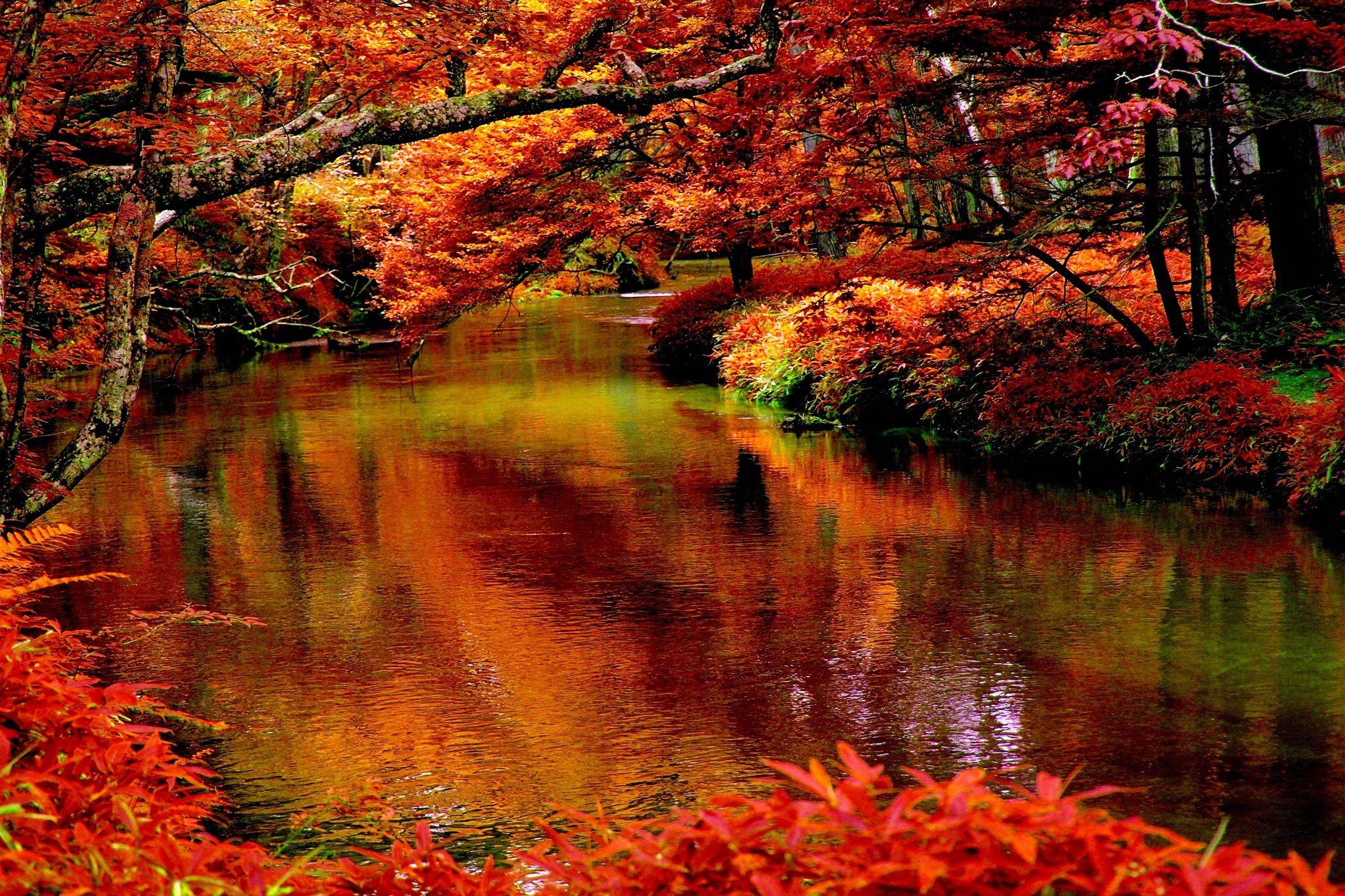 Autumn River Wallpapers - Top Free Autumn River Backgrounds ...