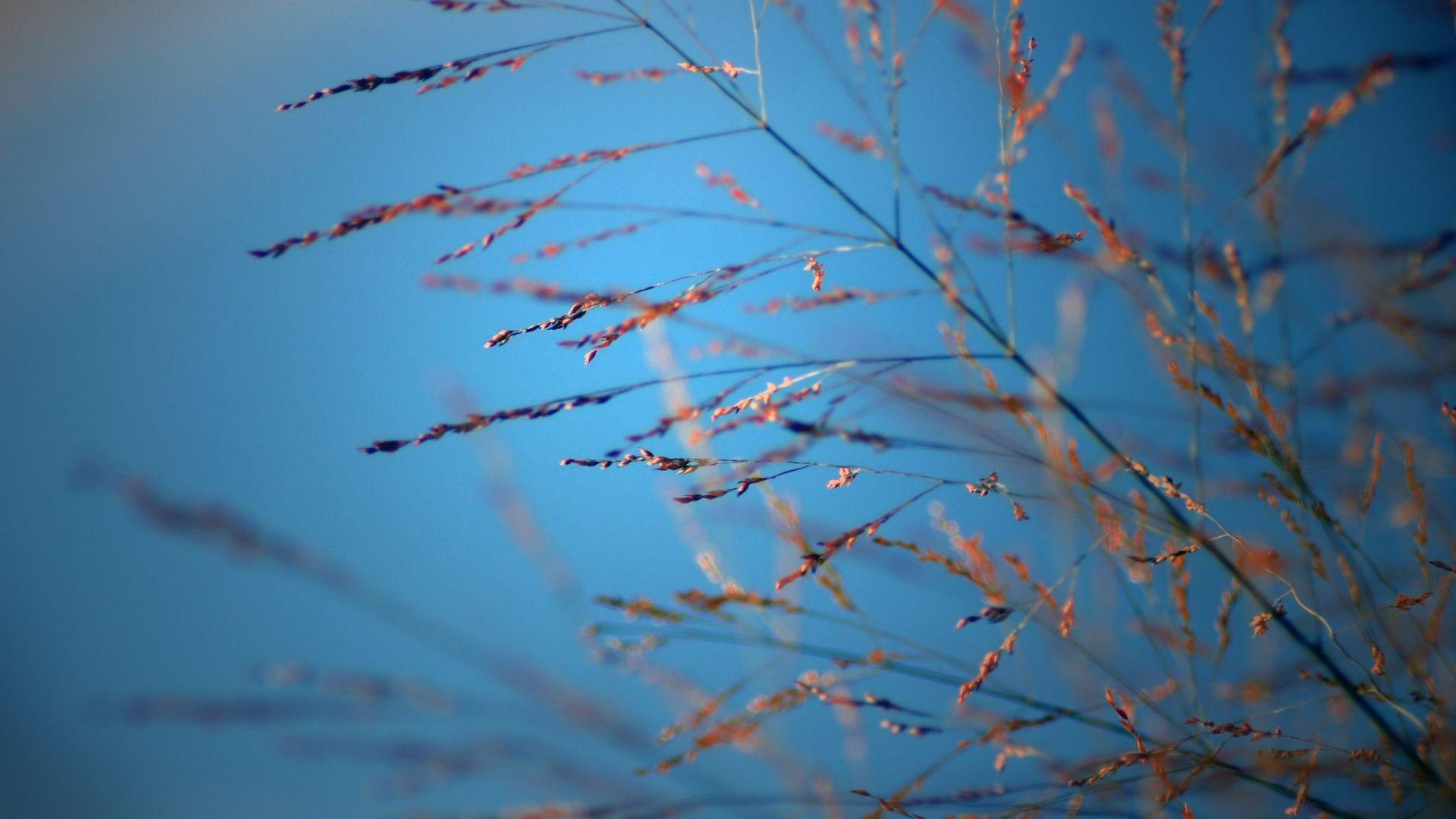 Feel Good Wallpapers - Top Free Feel Good Backgrounds - WallpaperAccess