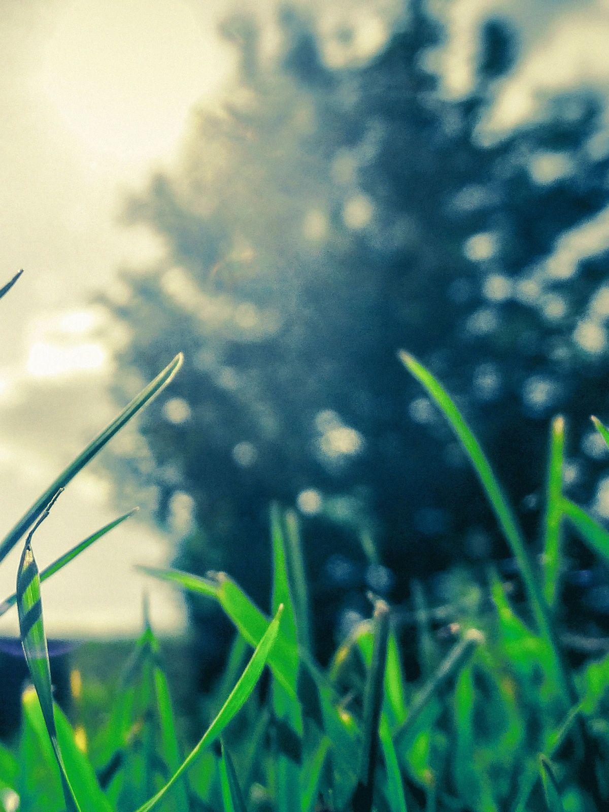 Feel Good Wallpapers - Top Free Feel Good Backgrounds - WallpaperAccess