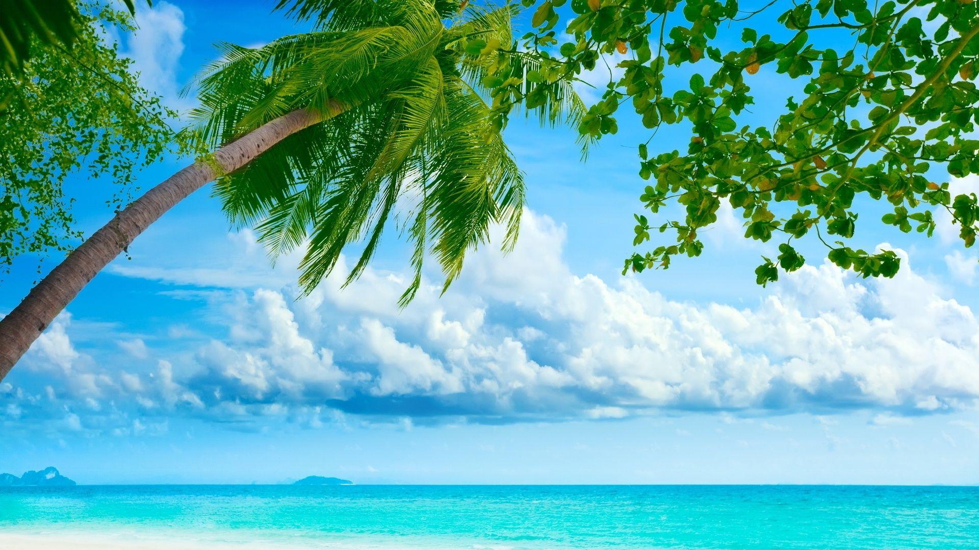 1920 X 1080 Summer Wallpapers - Top Free 1920 X 1080 Summer Backgrounds ...