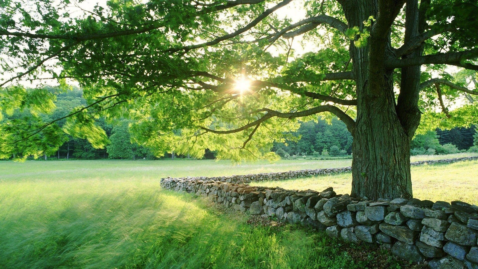 1920 X 1080 Summer Wallpapers - Top Free 1920 X 1080 Summer Backgrounds ...
