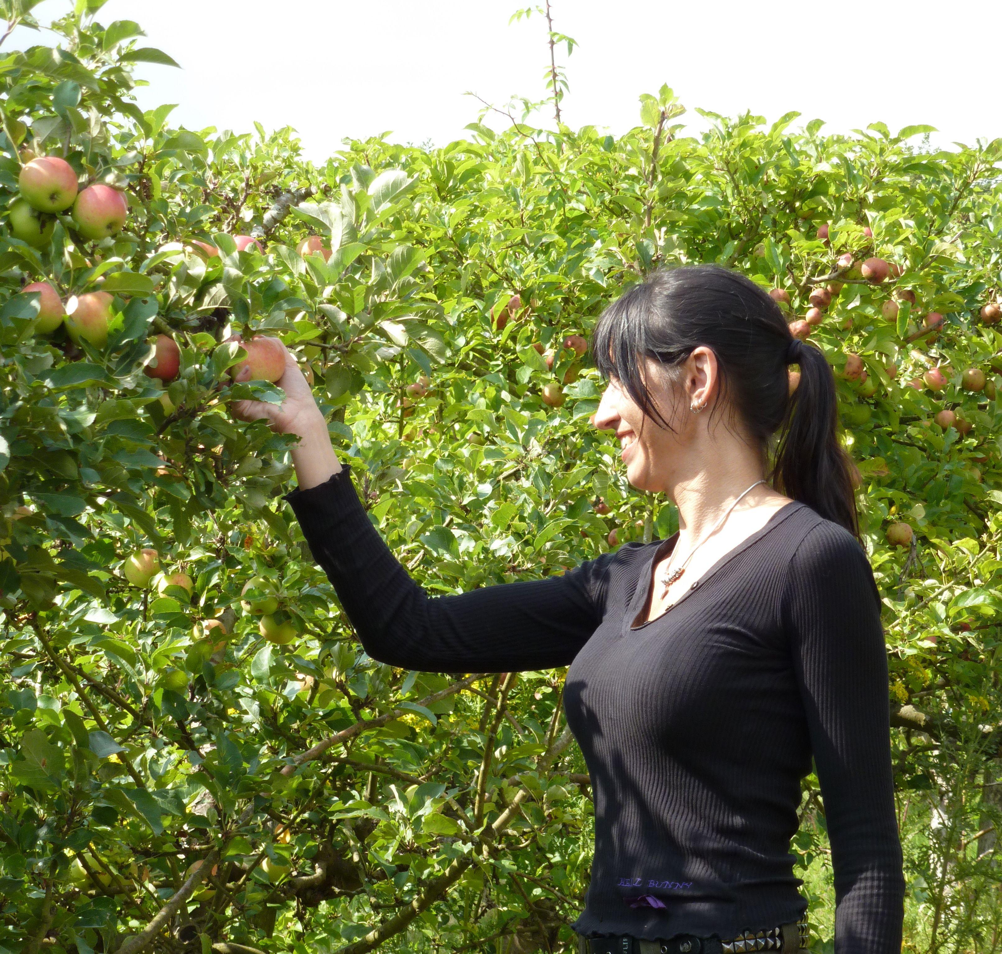 Orchard Wallpapers - Top Free Orchard Backgrounds - WallpaperAccess