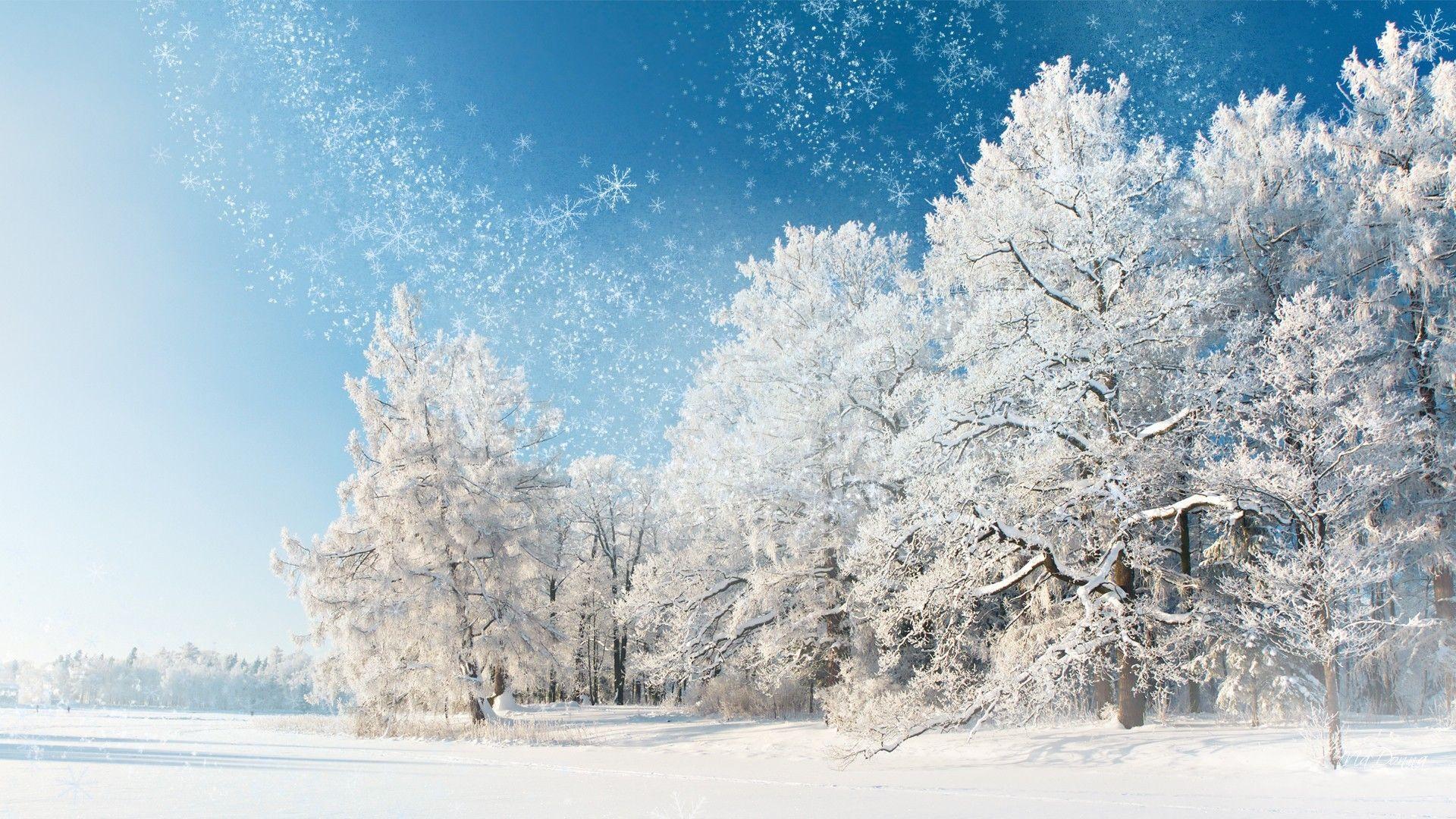 1920X1080 HD Snow Wallpapers - Top Free 1920X1080 HD Snow Backgrounds ...