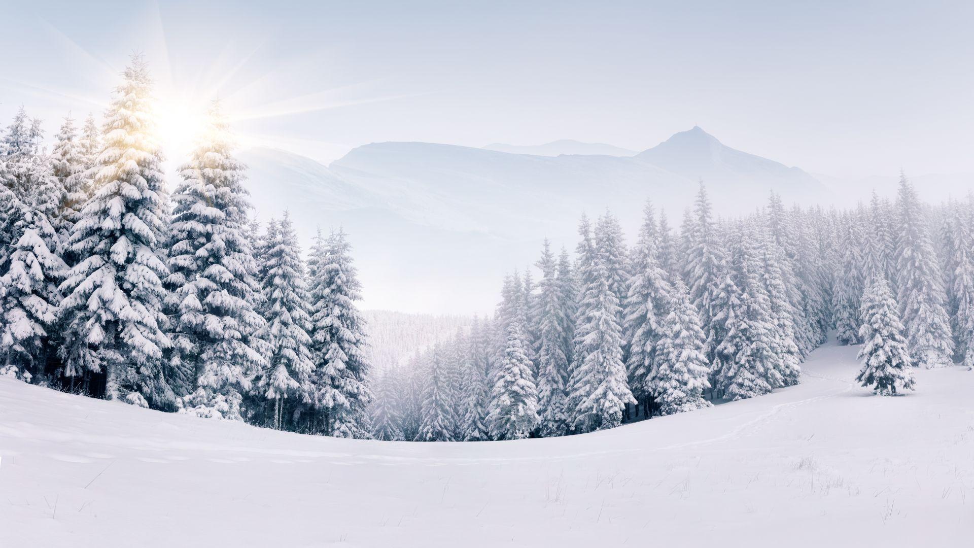 1920X1080 HD Snow Wallpapers - Top Free 1920X1080 HD Snow Backgrounds ...