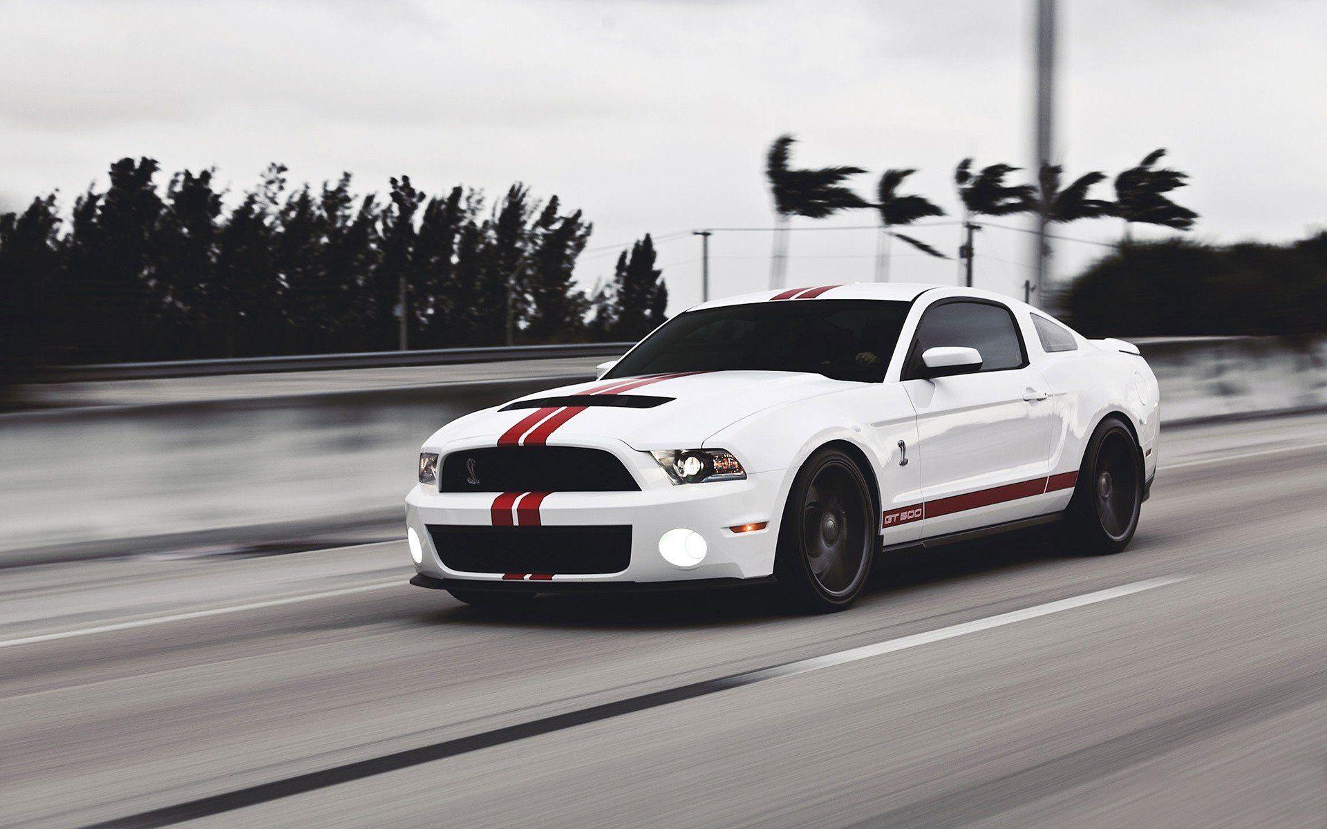 White Mustang Wallpapers - Top Free White Mustang Backgrounds ...