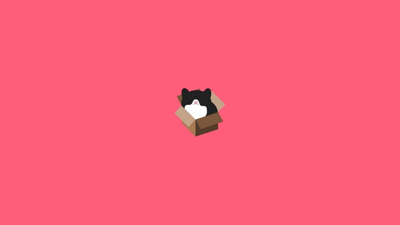 Minimalistic Cat Wallpapers - Top Free Minimalistic Cat Backgrounds ...