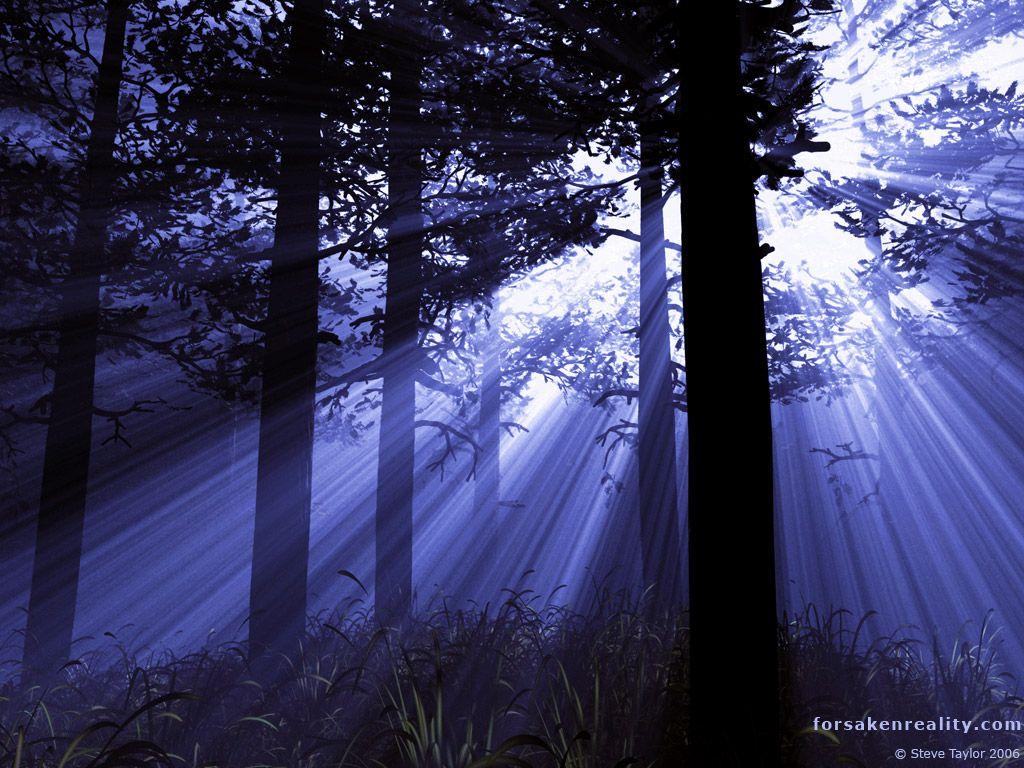 Magic Tree Wallpapers - Top Free Magic Tree Backgrounds - WallpaperAccess