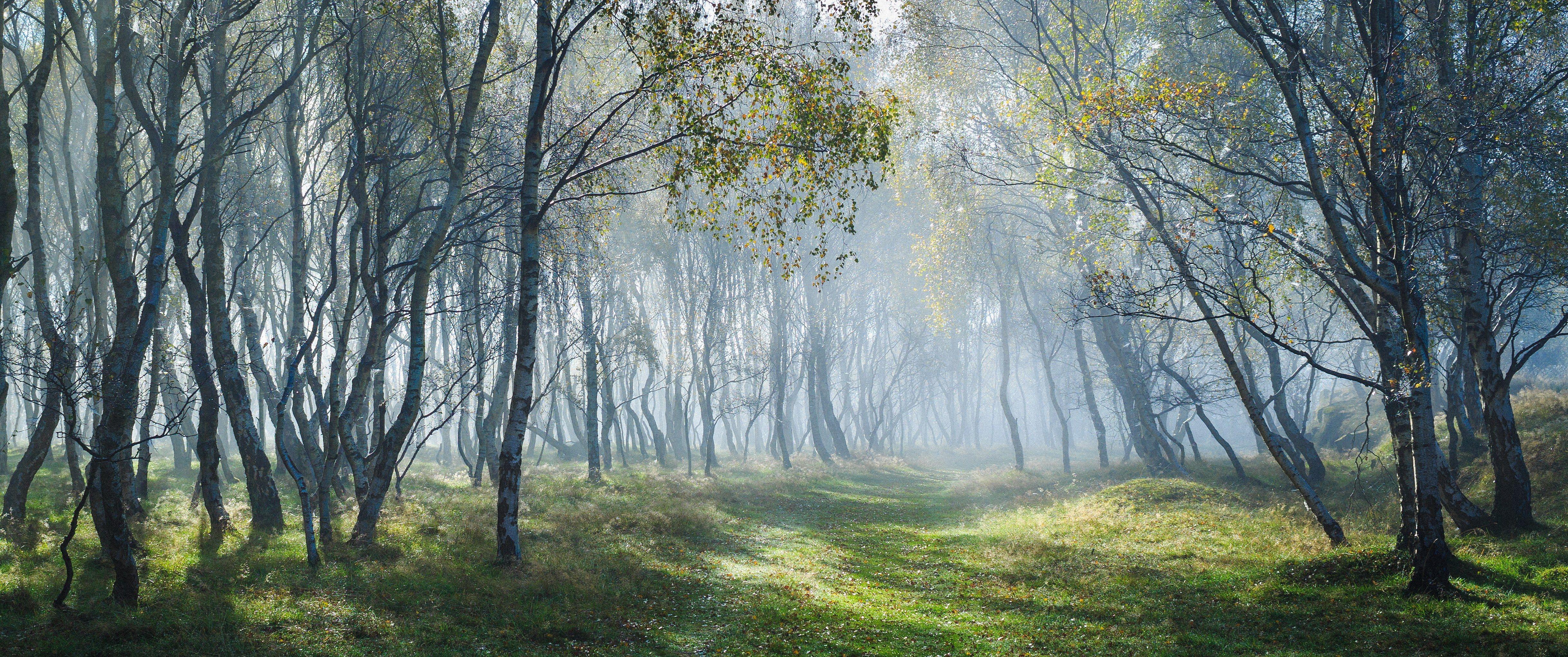 Magic Nature Computer Wallpapers - Top Free Magic Nature Computer ...