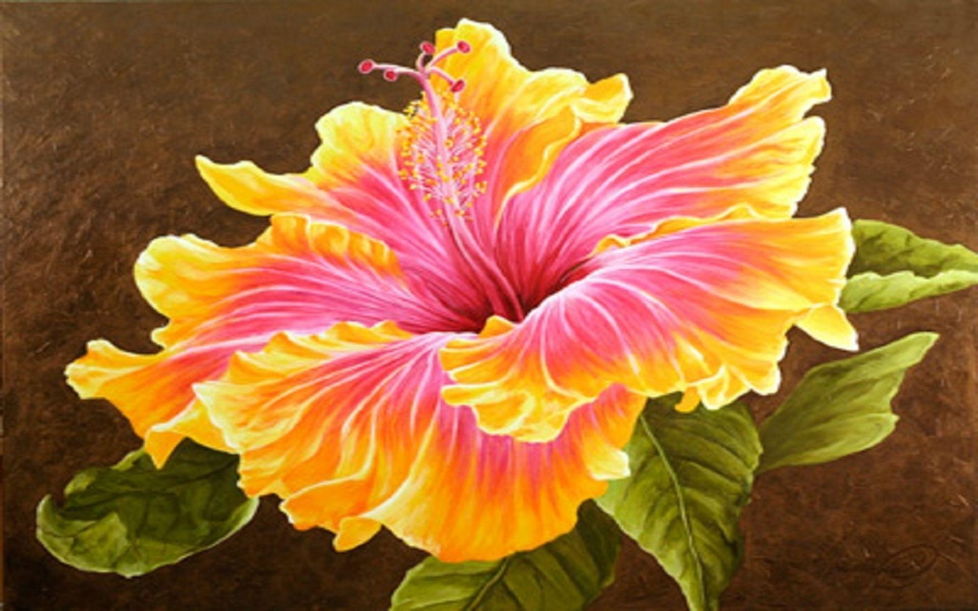 Hibiscus Flower Wallpapers - Top Free Hibiscus Flower Backgrounds ...