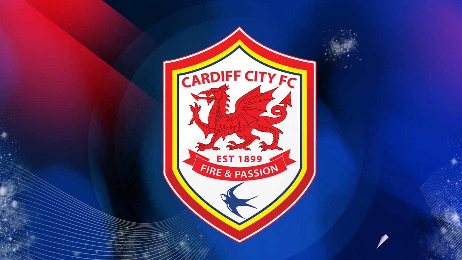 Cardiff Wallpapers - Top Free Cardiff Backgrounds - WallpaperAccess