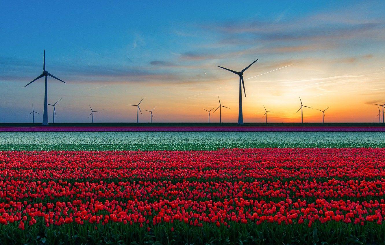 Wind Turbine Wallpapers - Top Free Wind Turbine Backgrounds ...