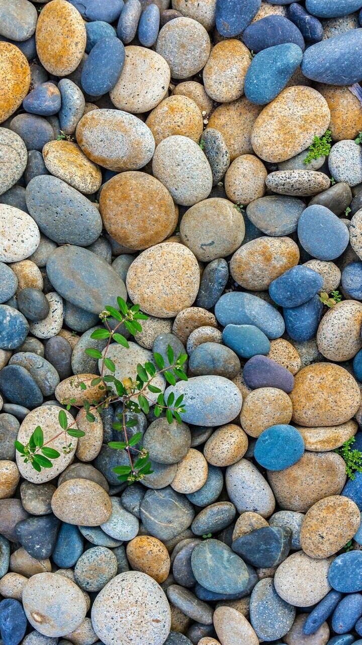 Pebble Wallpapers - Top Free Pebble Backgrounds - WallpaperAccess
