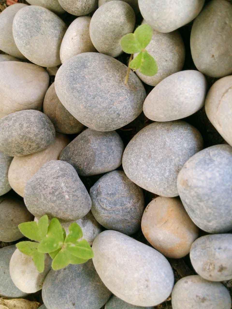 Pebble Wallpapers - Top Free Pebble Backgrounds - WallpaperAccess