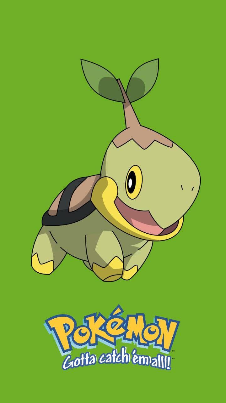 Turtwig Wallpapers Top Free Turtwig Backgrounds Wallpaperaccess