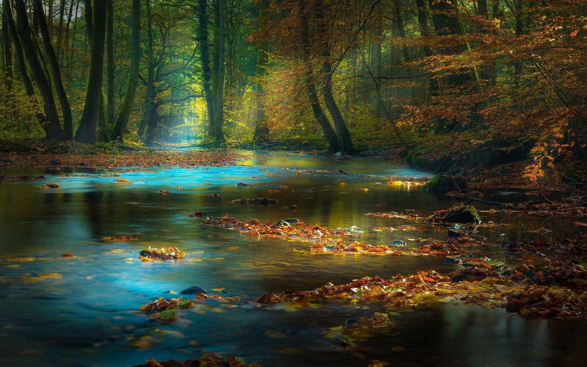 Forest Stream Wallpapers - Top Free Forest Stream Backgrounds ...