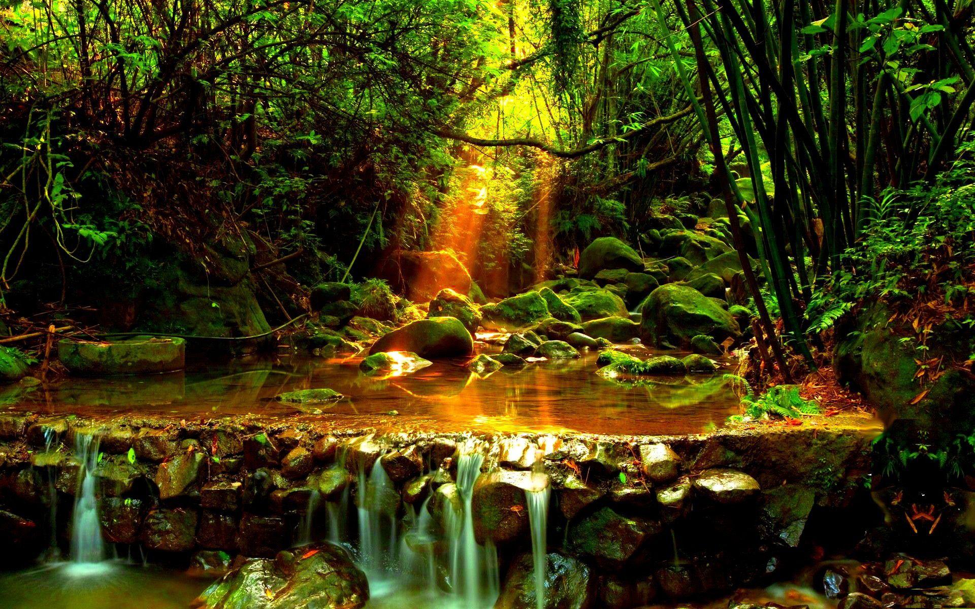Forest Stream Wallpapers - Top Free Forest Stream Backgrounds ...