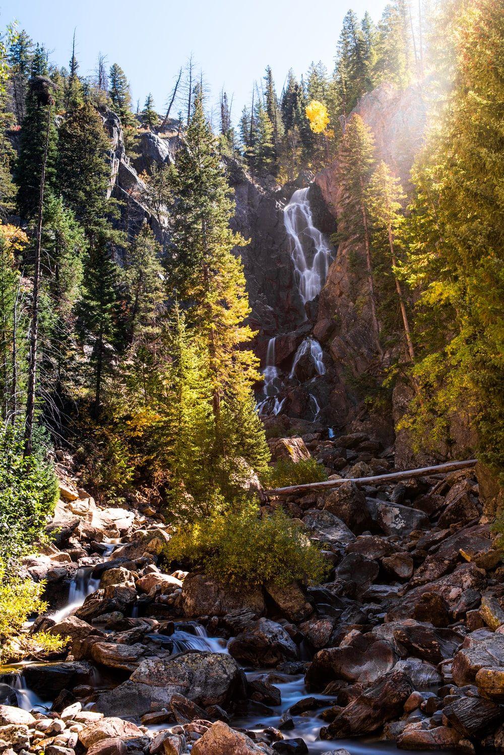 Forest Stream Wallpapers - Top Free Forest Stream Backgrounds ...